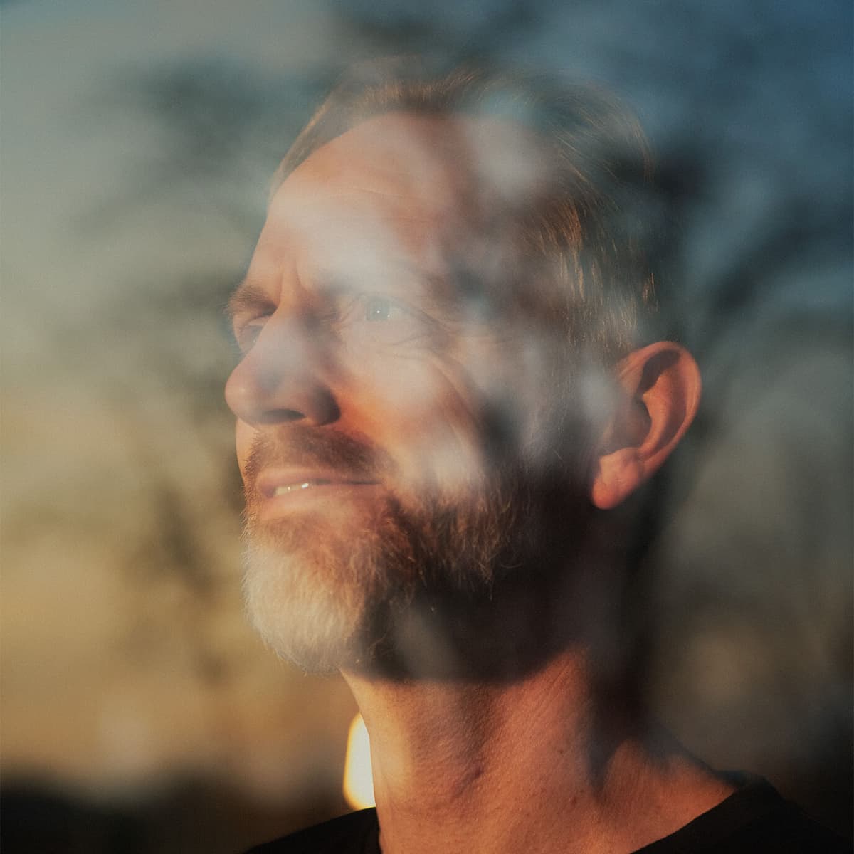 FCR & Systemydelser - hvad er det, og hvordan kan du bruge det?